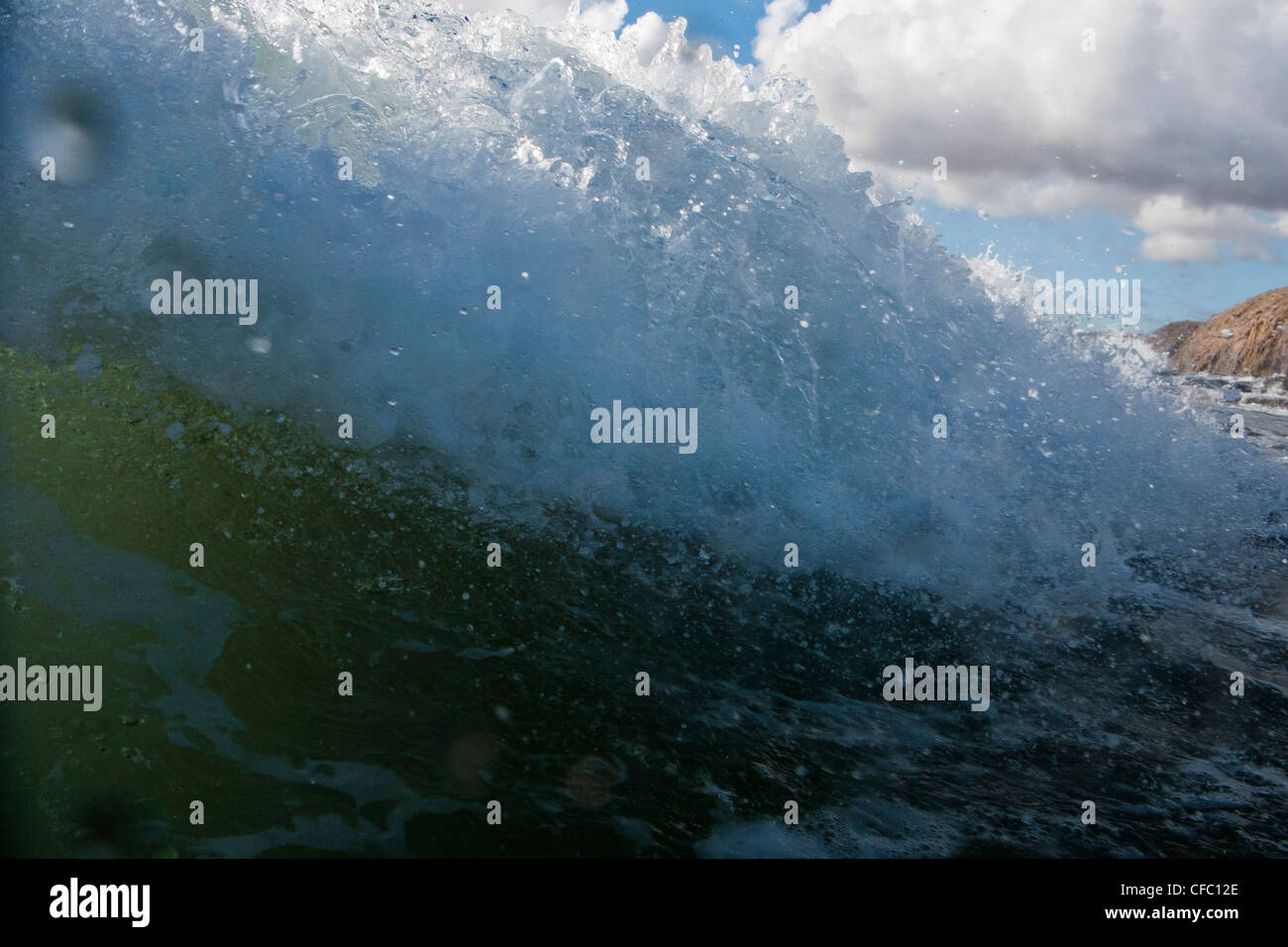 Body canaries hi-res stock photography and images - Alamy