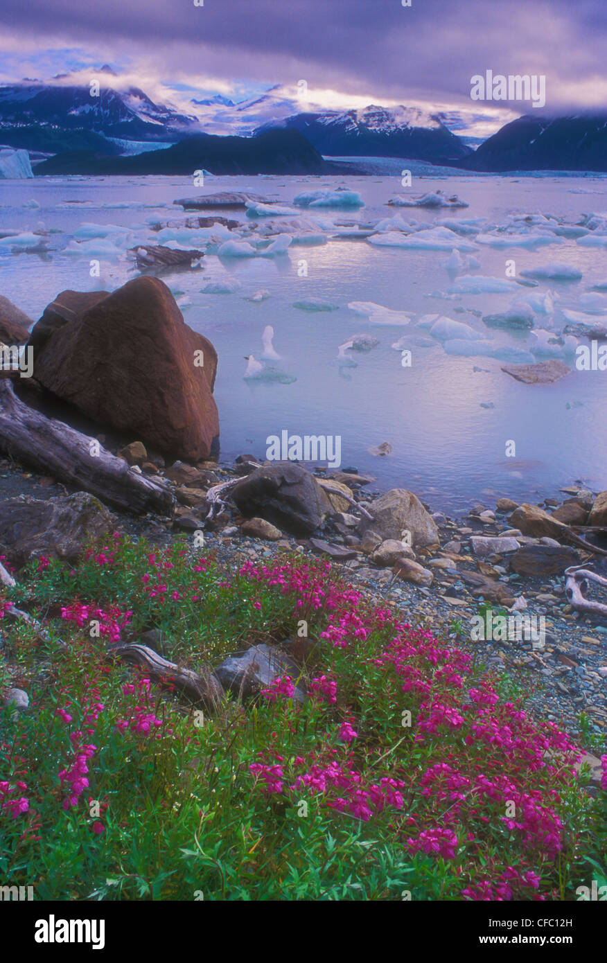 Alsek Lake - Tatshenshini/Alsek Preserve Stock Photo - Alamy