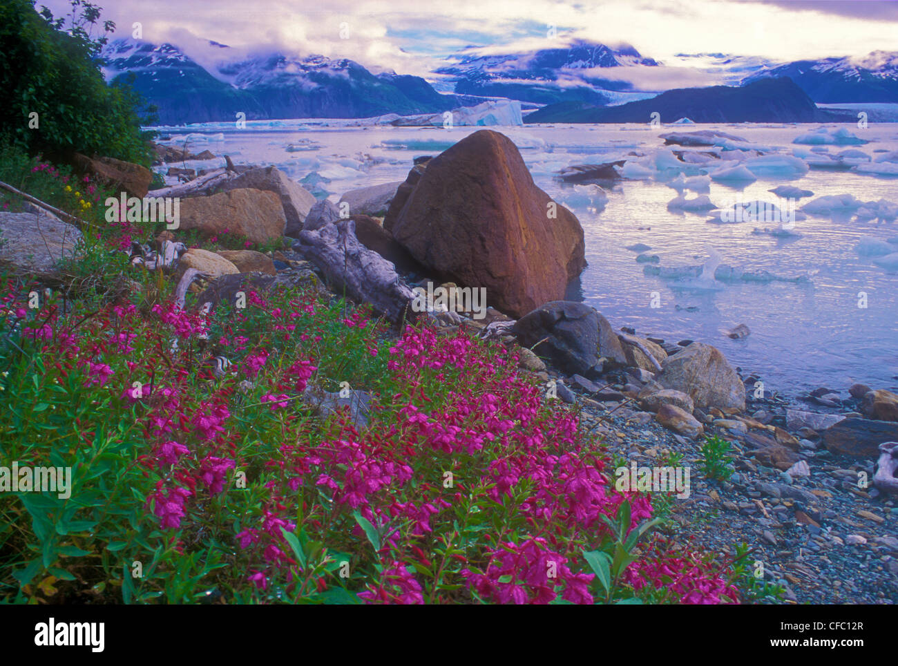 Alsek Lake - Tatshenshini/Alsek Preserve Stock Photo - Alamy