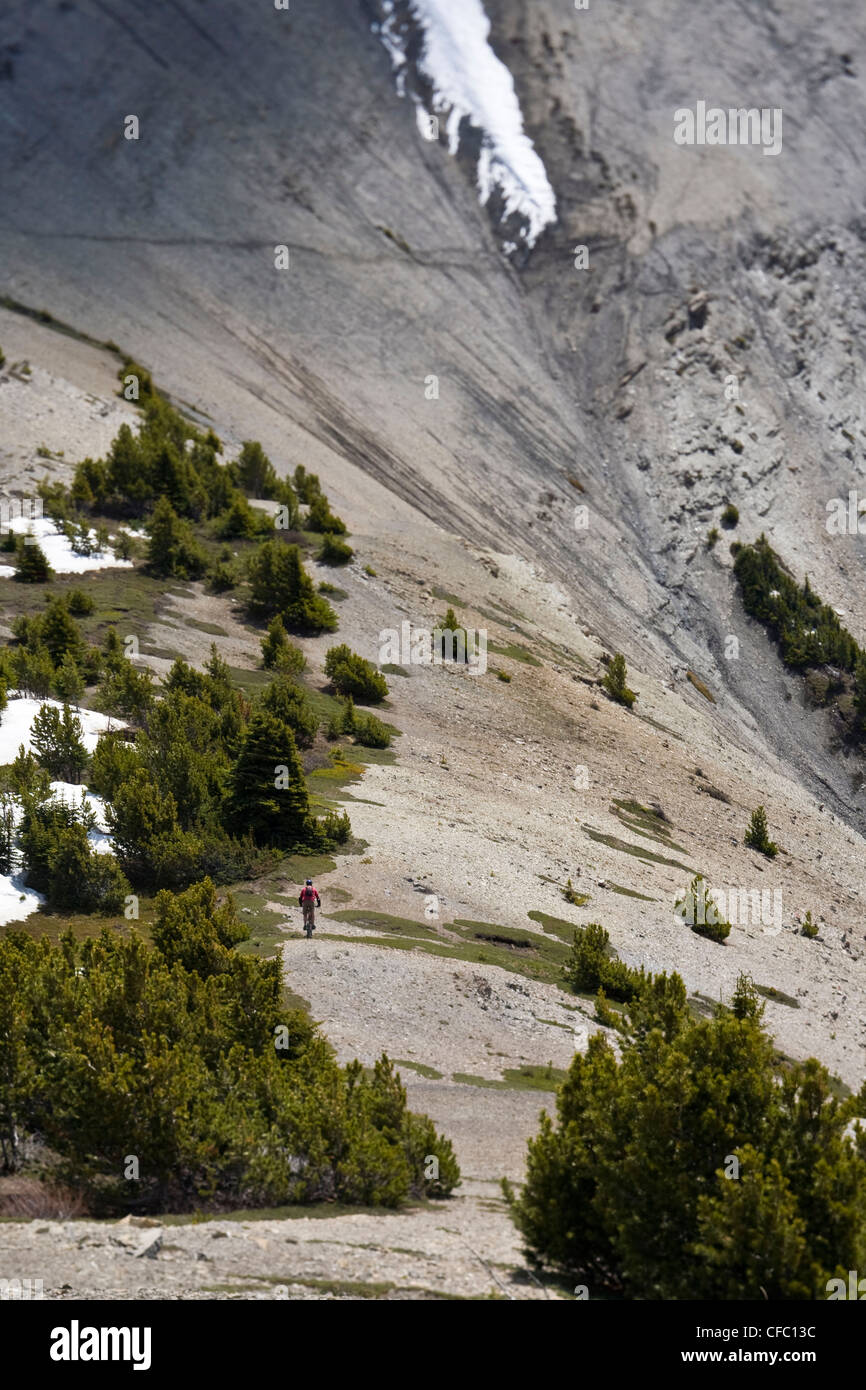 A mountain biker on Mt Seven, Golden, BC Stock Photo - Alamy