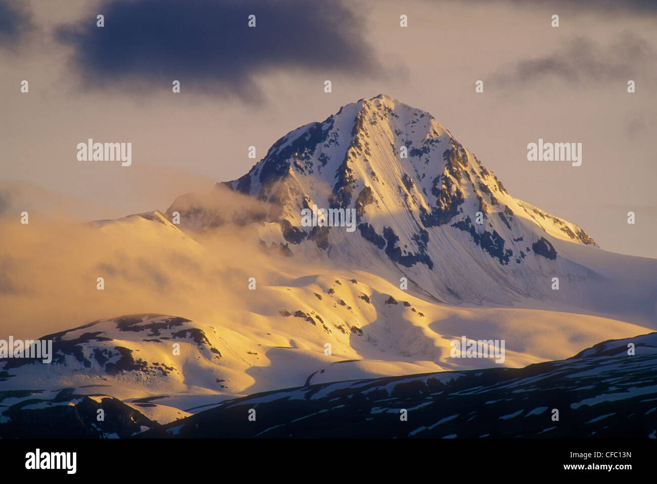 Saint Elias Range - Tatshenshini/Alsek Preserve Stock Photo - Alamy