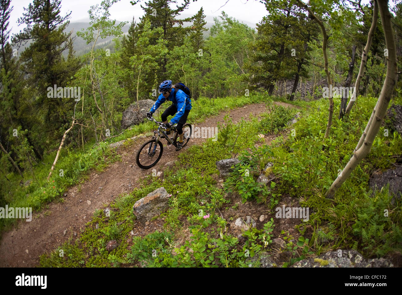 A mountain biker riding single track track of Jumping Pond Ridge in ...