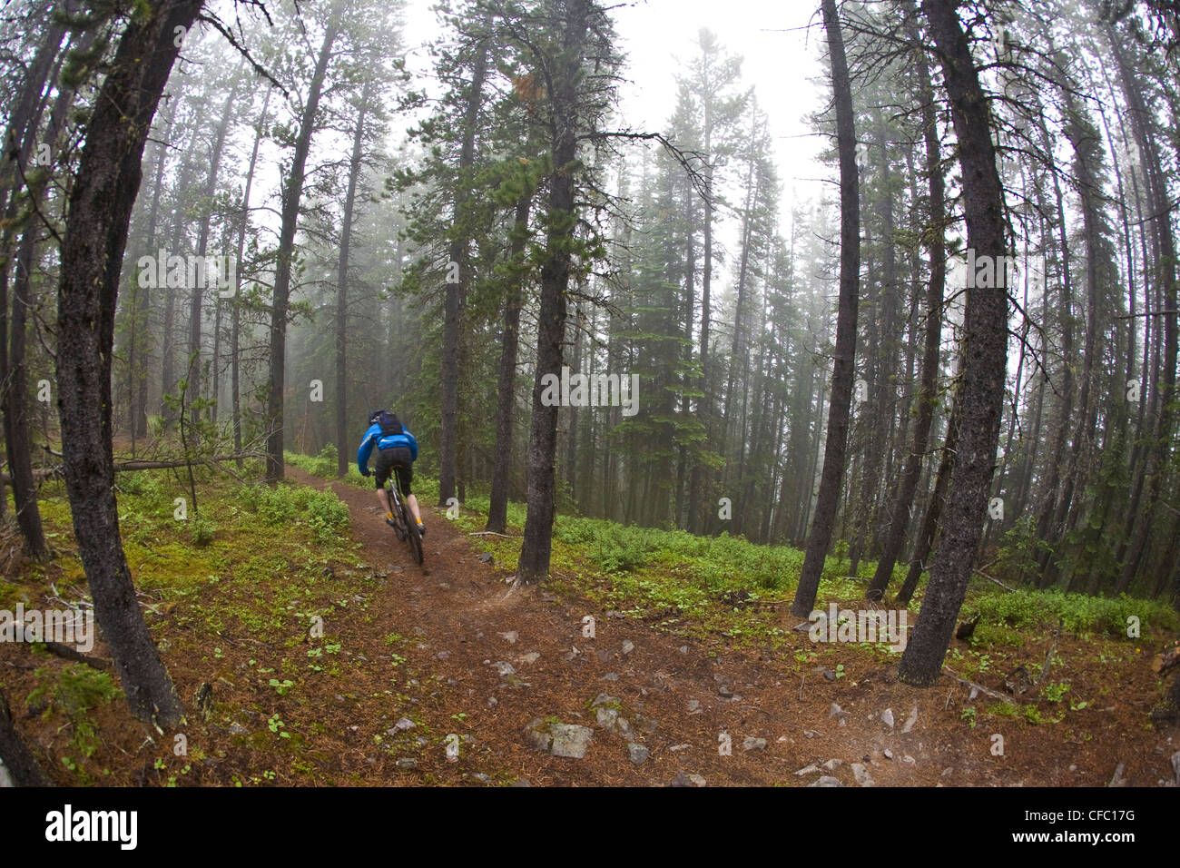 Jumping pound ridge hi-res stock photography and images - Alamy