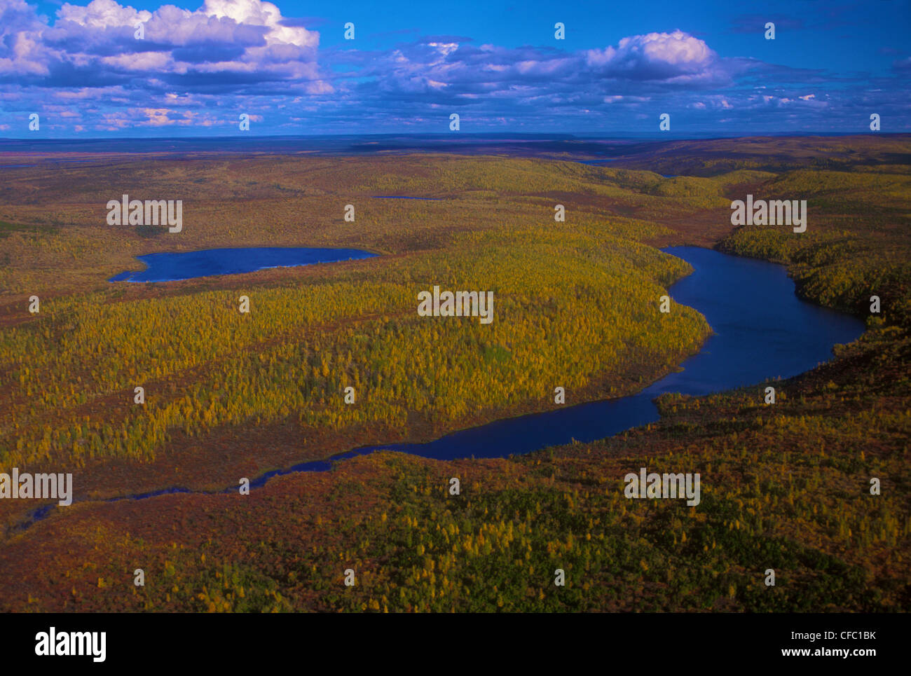 Northern boreal forest tundra transition inuvik hi-res stock ...