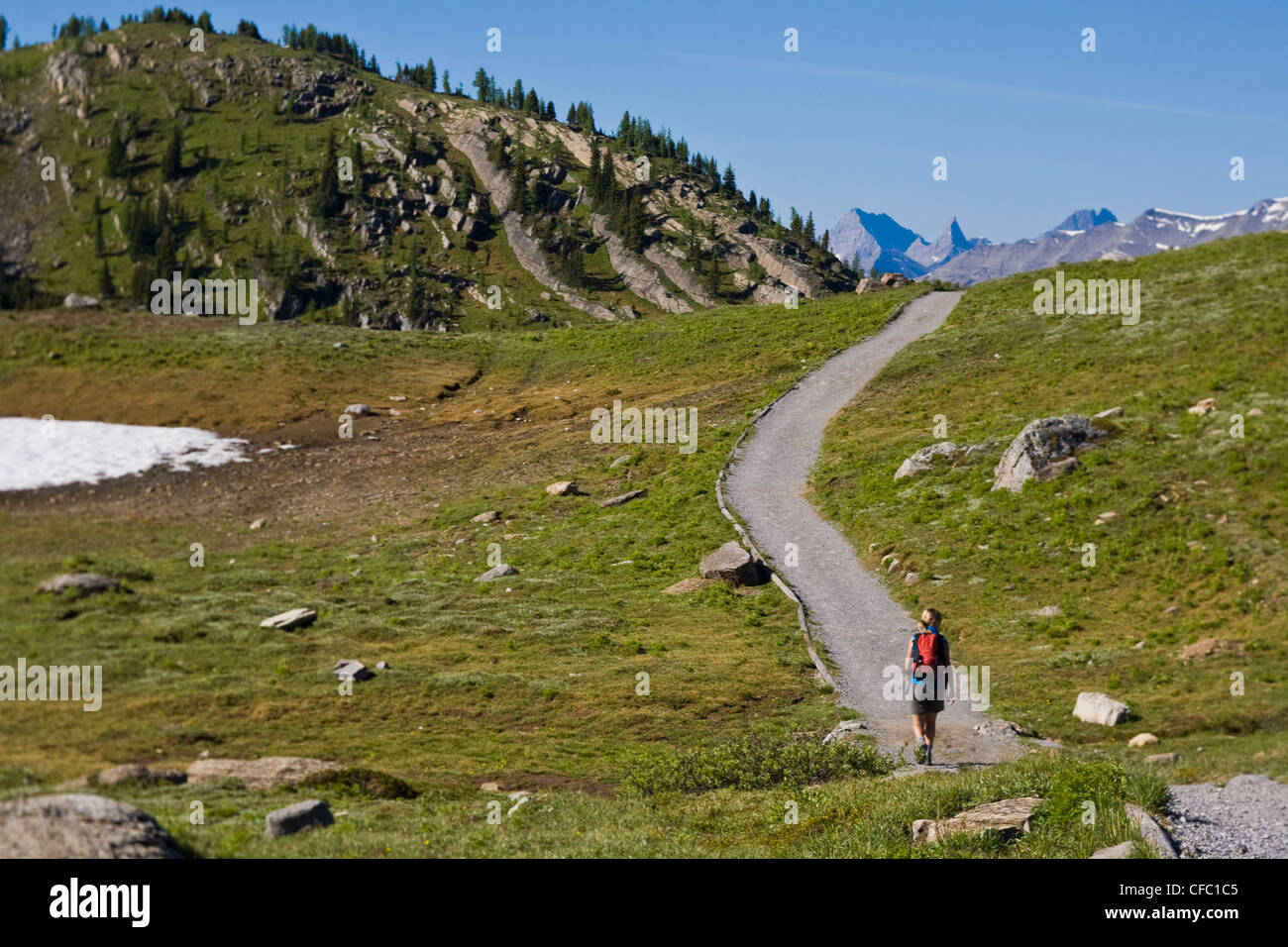 A hiker exploring the trails of Sunshine Meadows, Banff National Park ...
