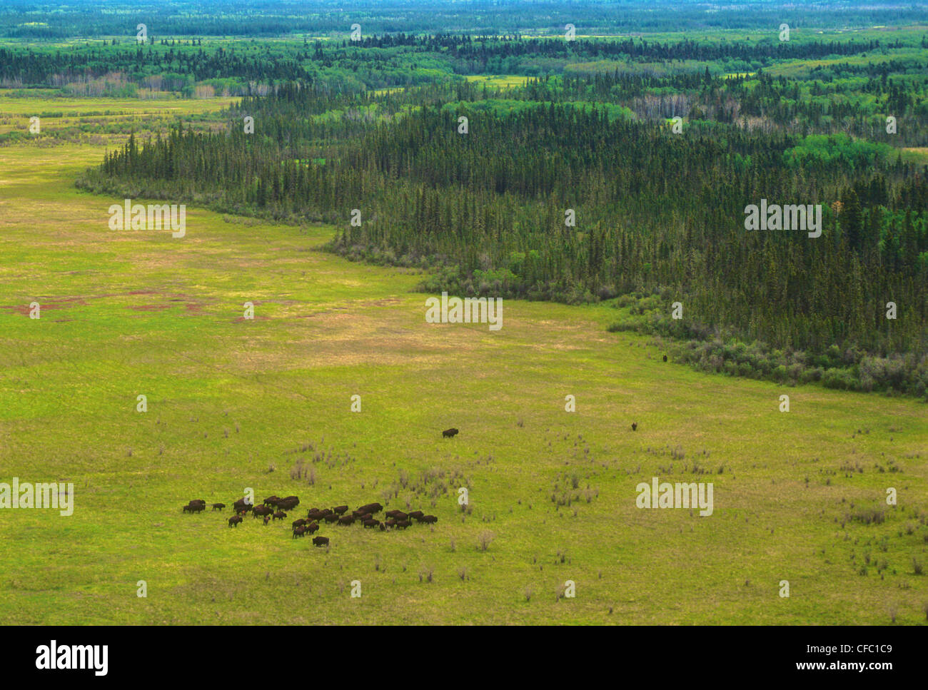 Nwt parks hi-res stock photography and images - Alamy