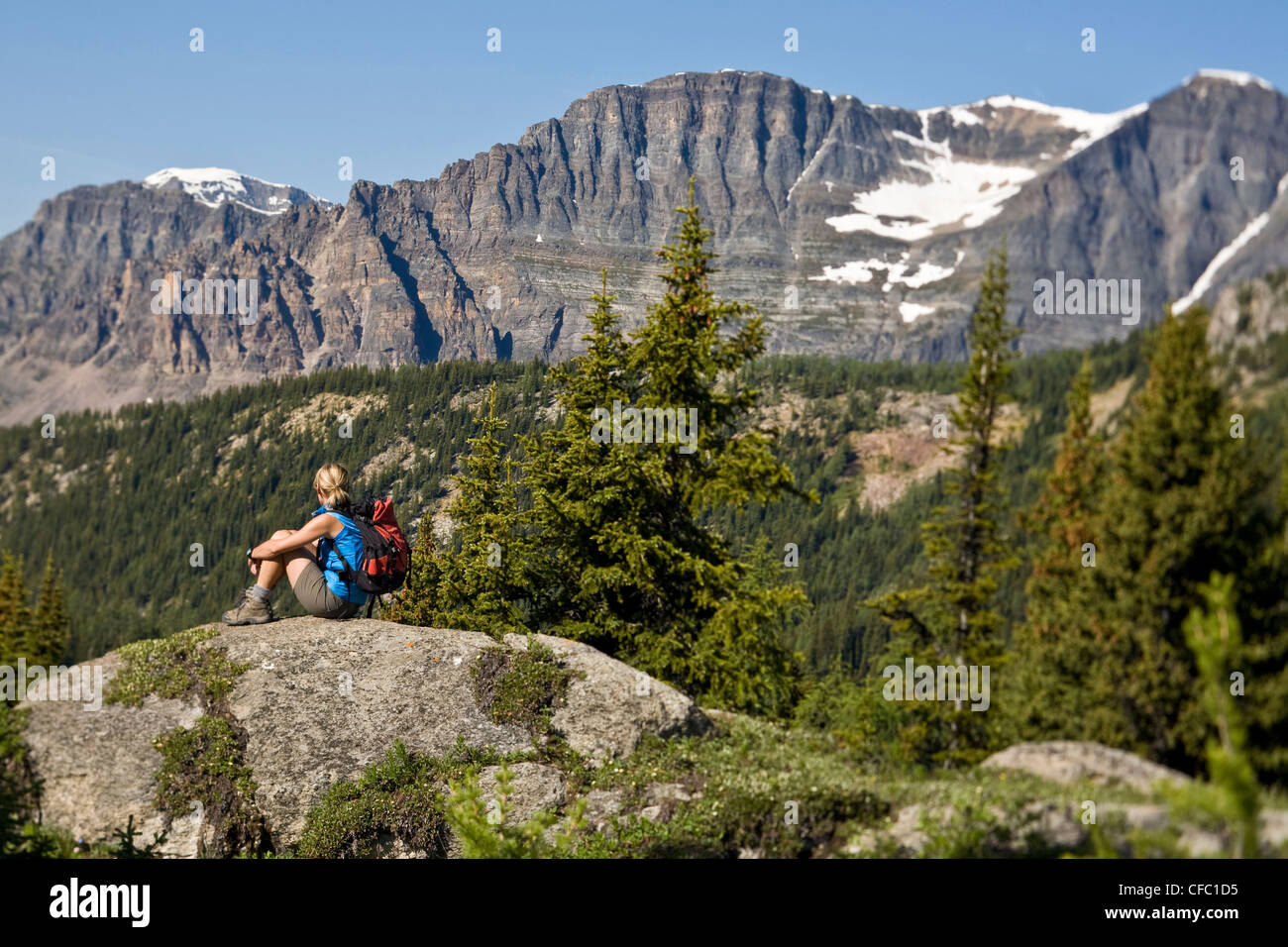 A hiker exploring the trails of Sunshine Meadows, Banff National Park, AB Stock Photo - Alamy