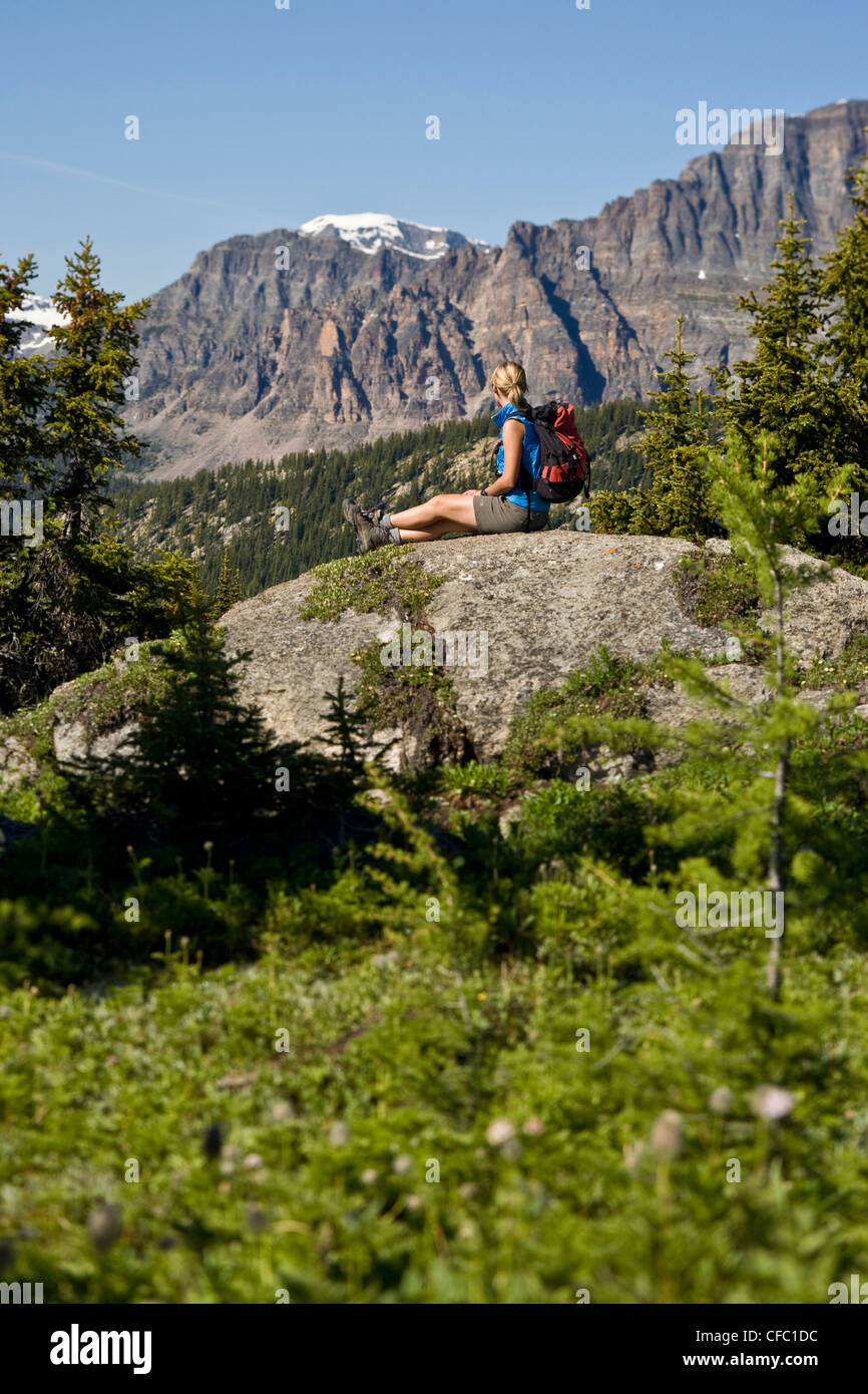 A hiker exploring the trails of Sunshine Meadows, Banff National Park, AB Stock Photo - Alamy