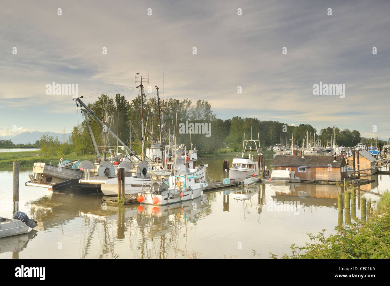 Fraser river delta hi-res stock photography and images - Alamy