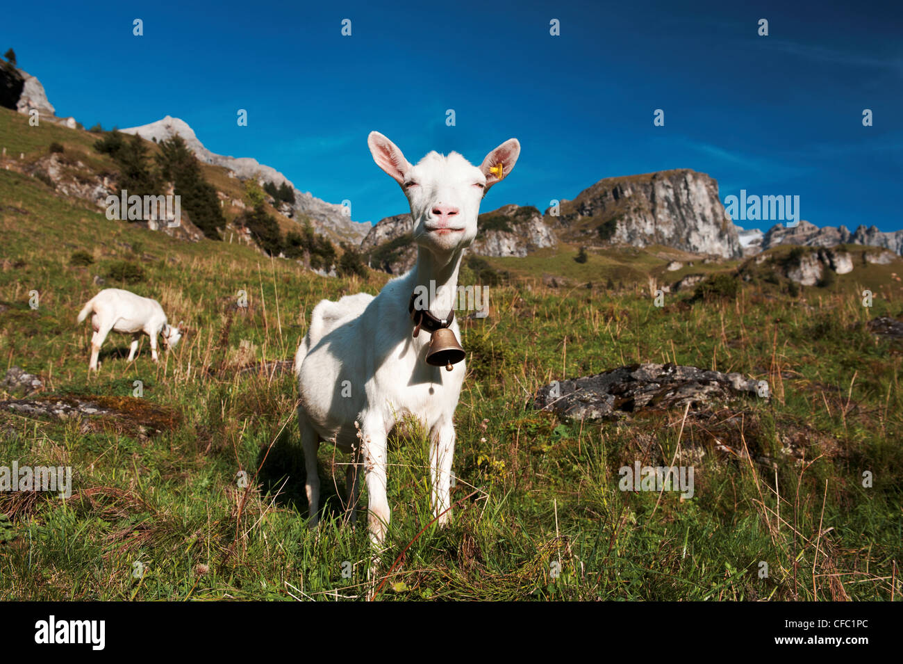 Alp landscape hi-res stock photography and images - Alamy