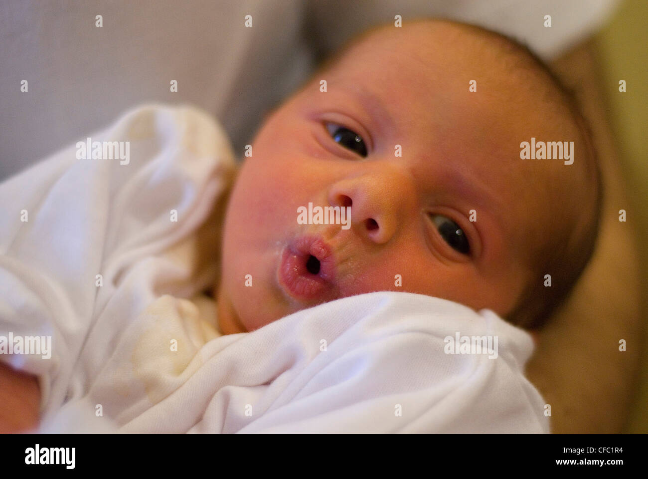 A newborn female baby dressed in a white babygrow, being held by an ...