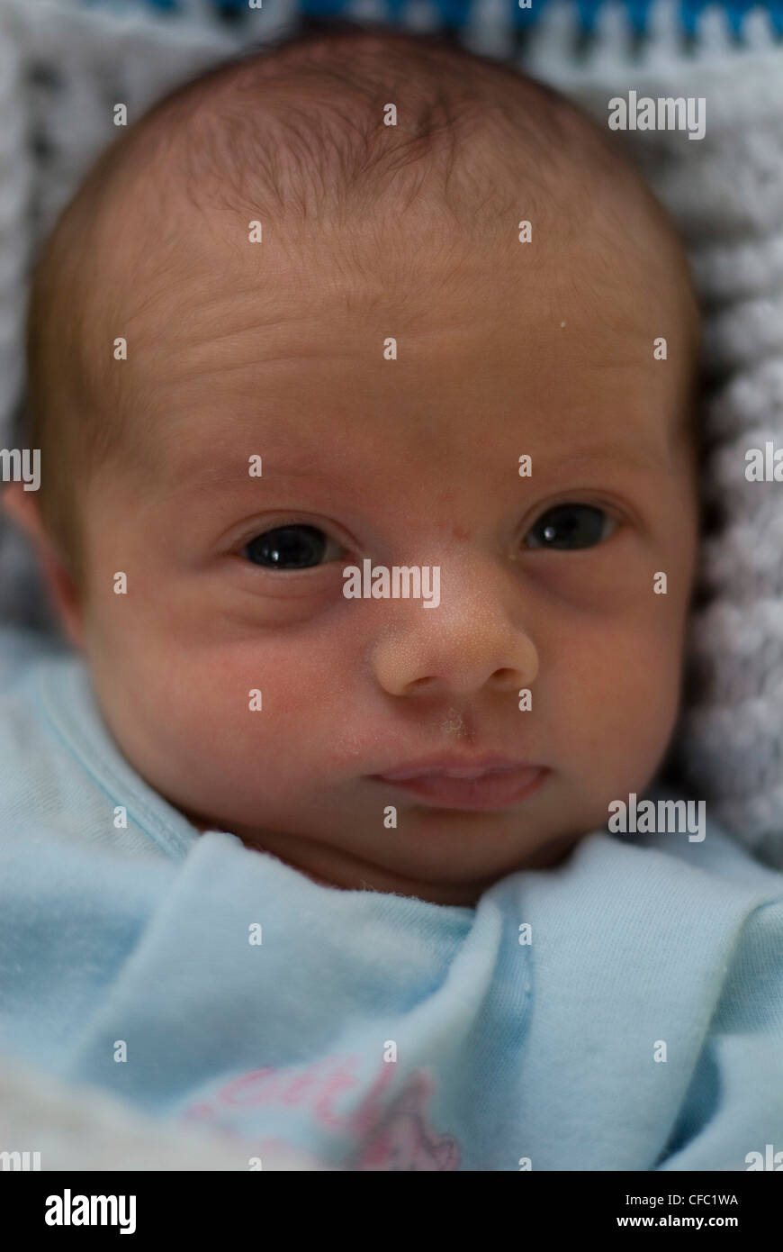 A newborn female baby dressed in a blue babygrow looking to camera with ...