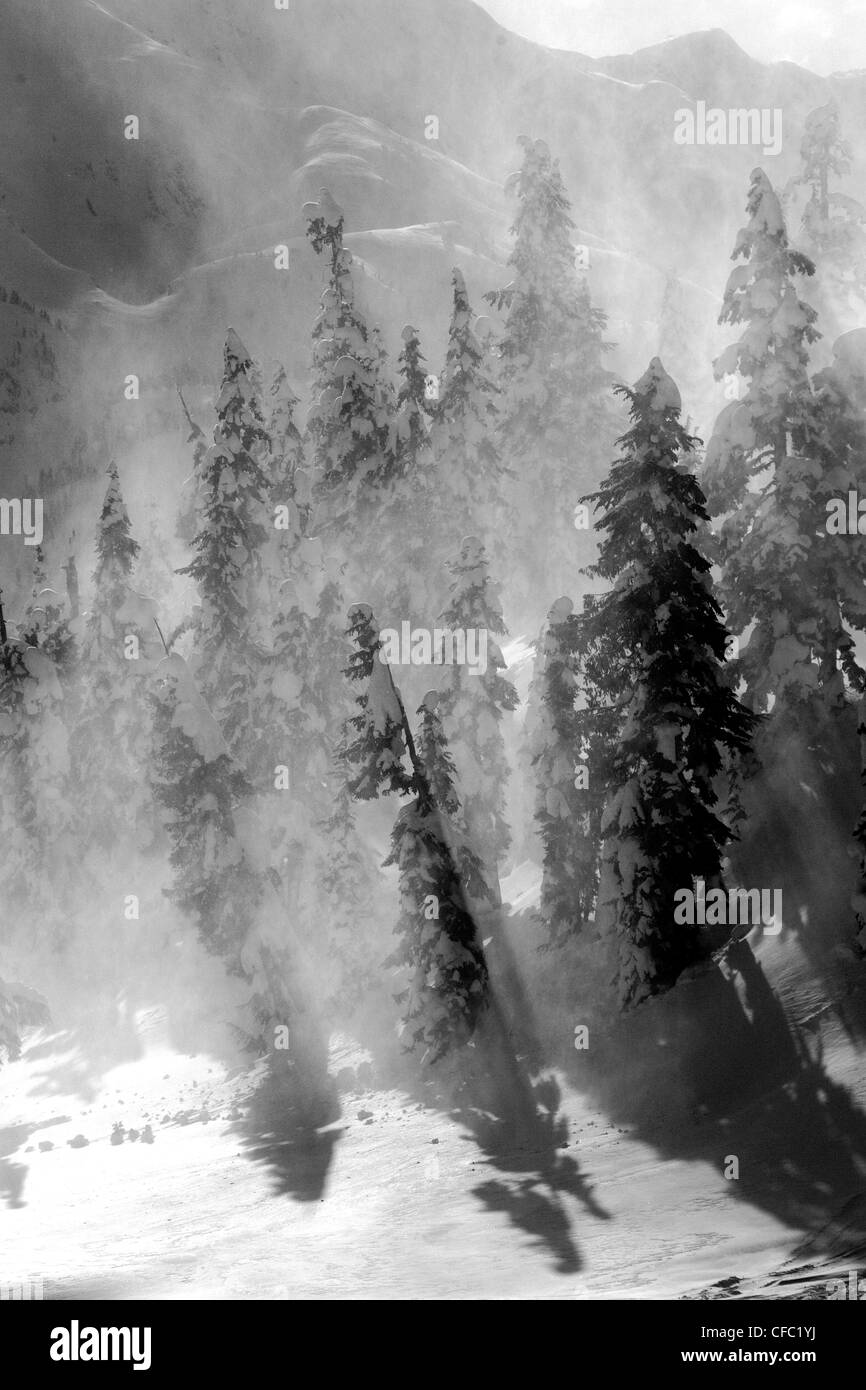 winter wind blows snow, whistler, BC, Canada Stock Photo - Alamy