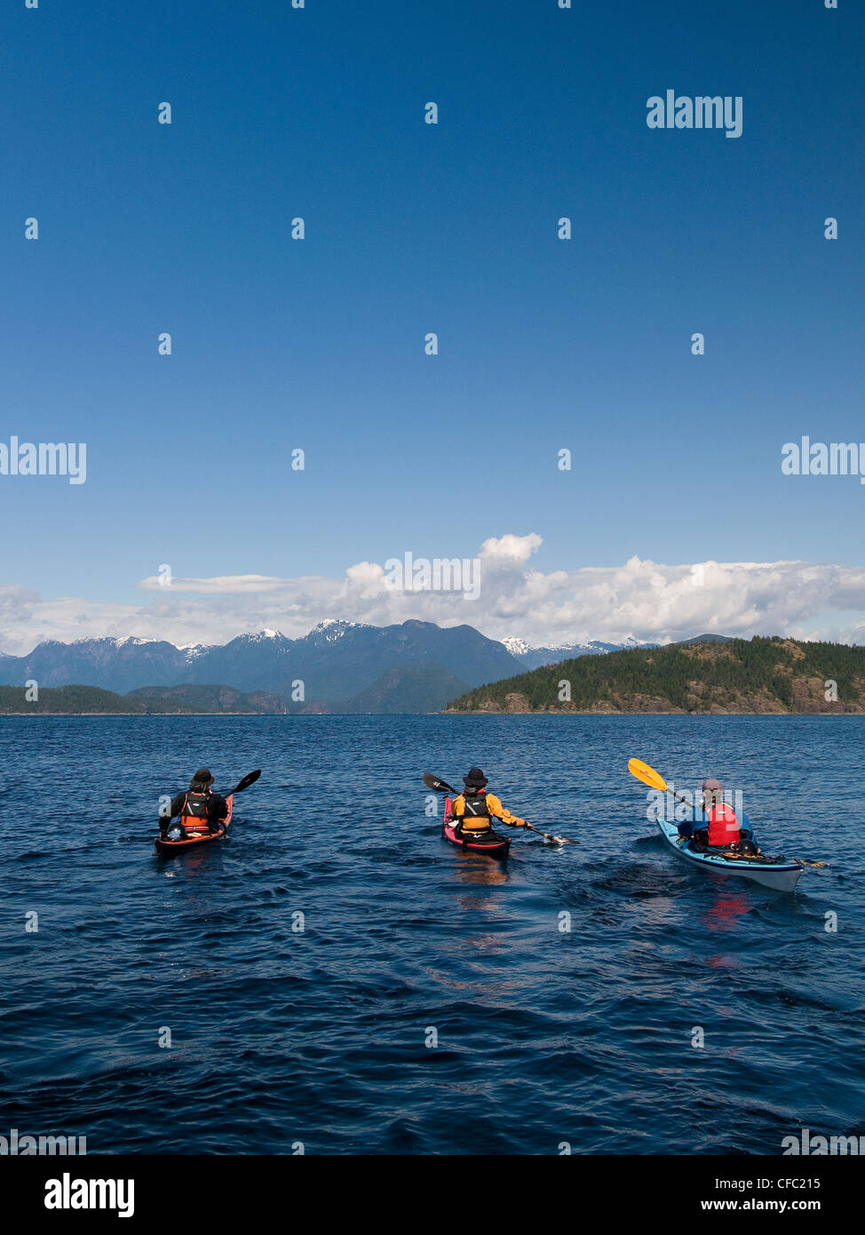 Sarah Shore Stock Photos & Sarah Shore Stock Images - Alamy