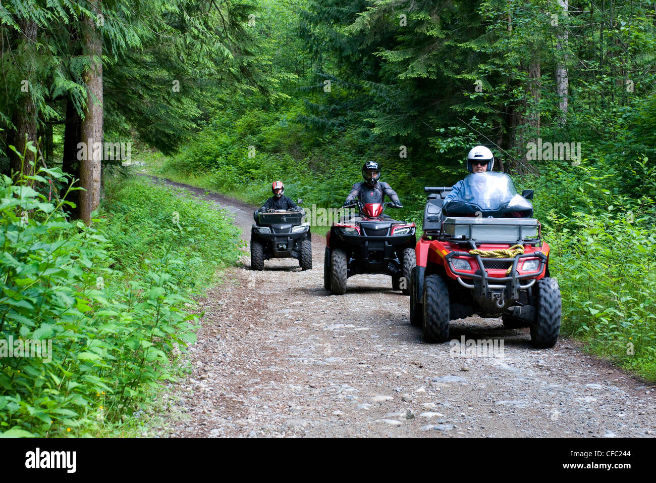 group ATV quad bikers take trails near Powell Stock Photo - Alamy