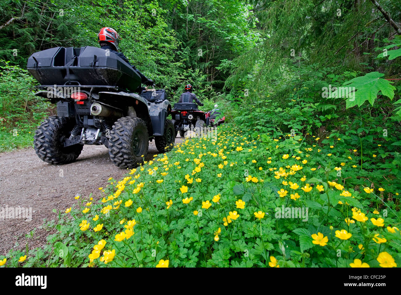 Quad group hi-res stock photography and images - Alamy