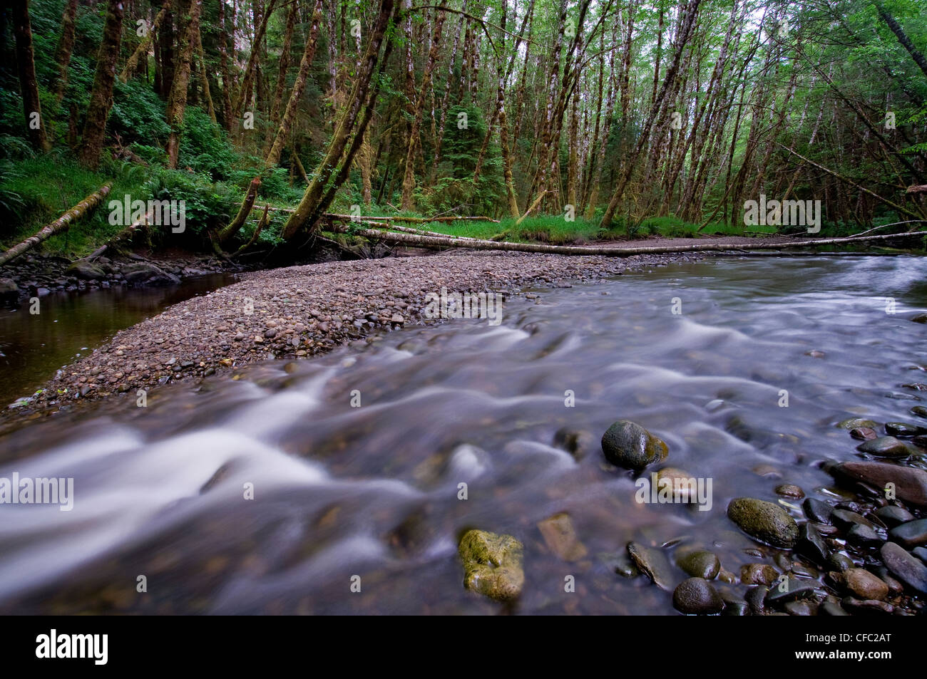 Sandspit canada hi-res stock photography and images - Alamy
