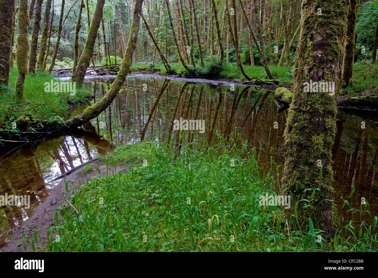 Sandspit canada hi-res stock photography and images - Alamy