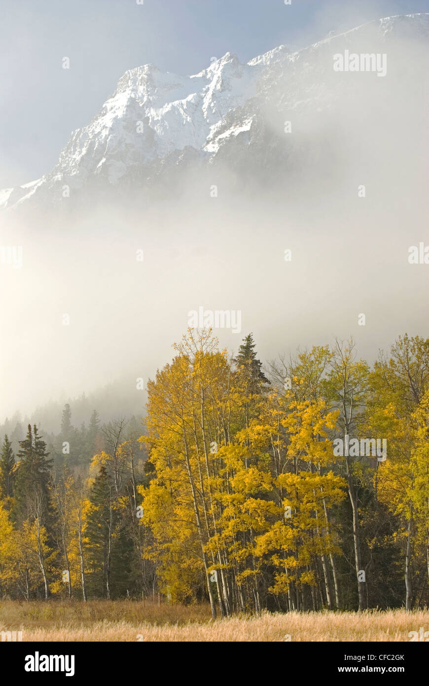 Foggy snow-covered peaks Niut Range Coast Stock Photo - Alamy