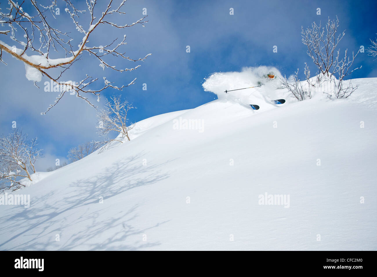 A skier makes a deep powder turn at Asahidake, Japan Stock Photo - Alamy