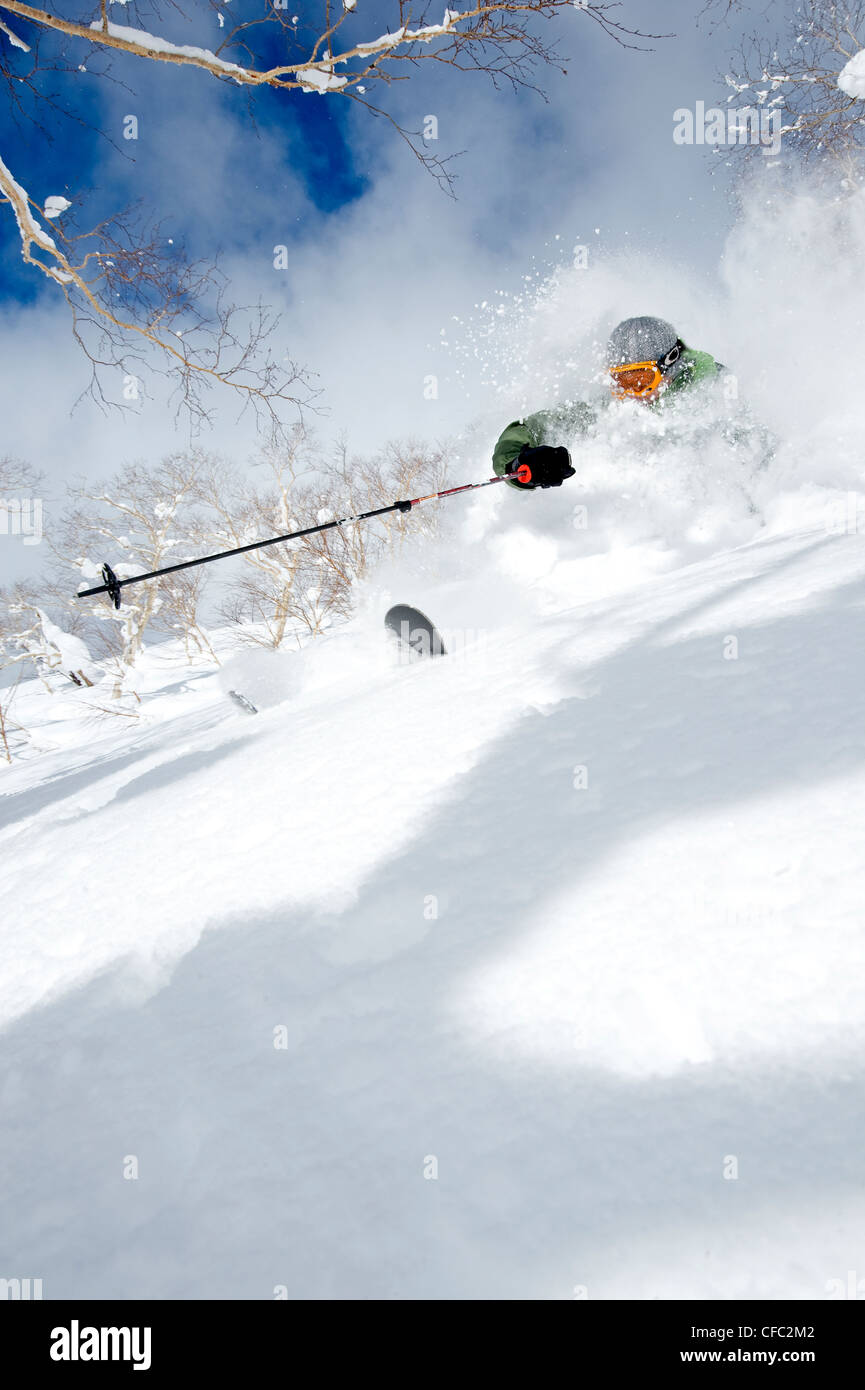 A skier in deep powder, Asahidake, Hokkaido, Japan Stock Photo - Alamy