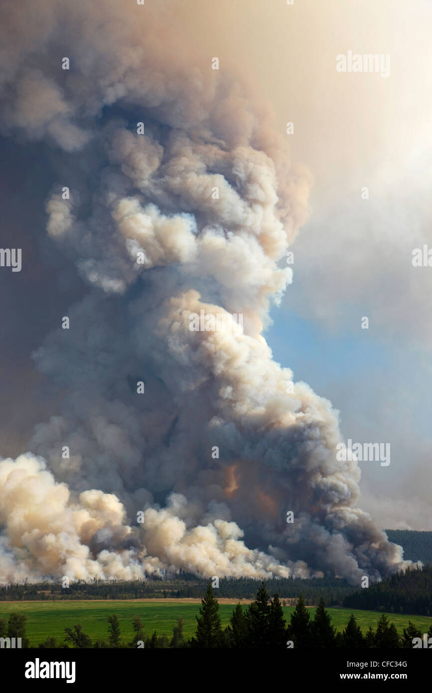 Forest fire imagery in the chilcotin region of british columbia hi-res ...