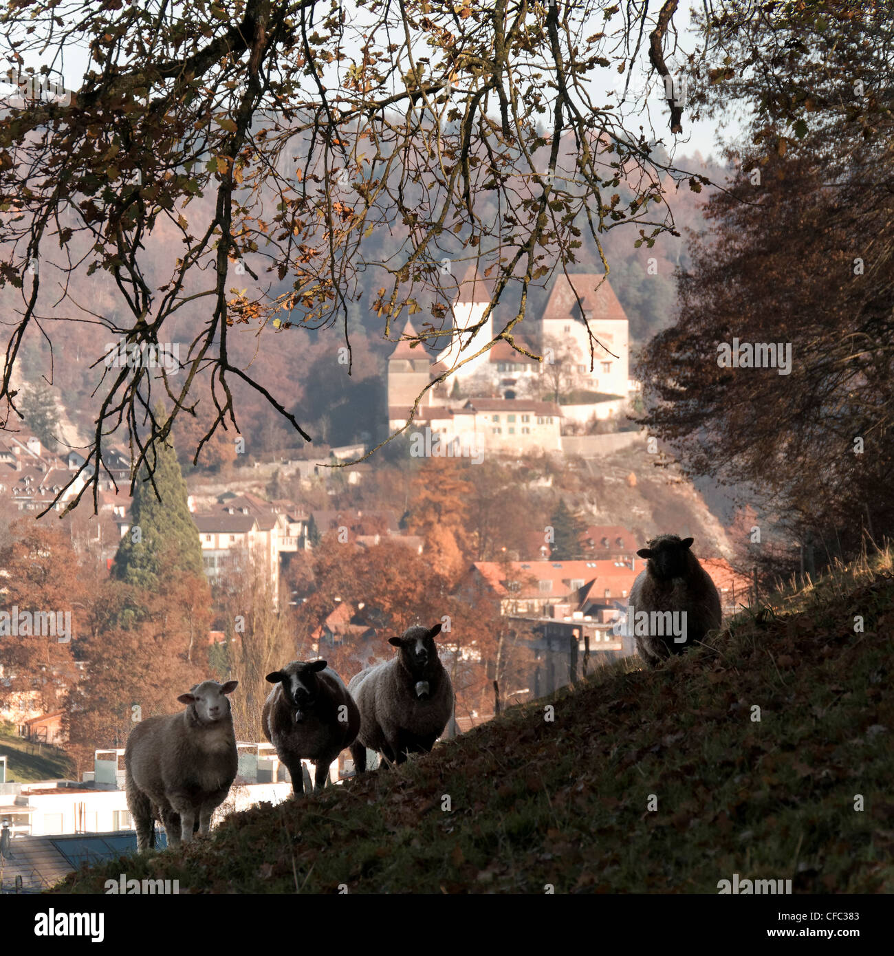 Burgdorf hi-res stock photography and images - Alamy