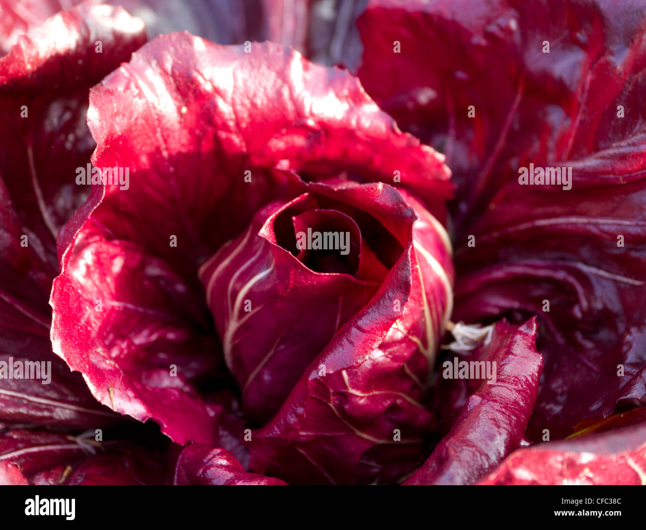 Ittigen hi-res stock photography and images - Alamy