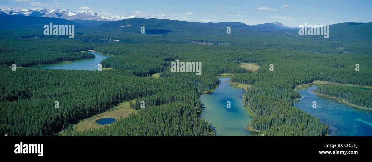 Aerial view Thunder Lake Brazeau Wildland are Stock Photo - Alamy