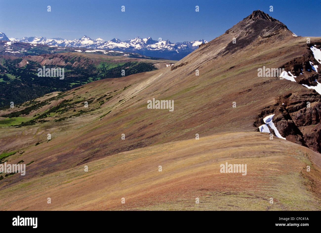 volcanic landscape in the Rainbow Mountains in British Columbia Canada ...