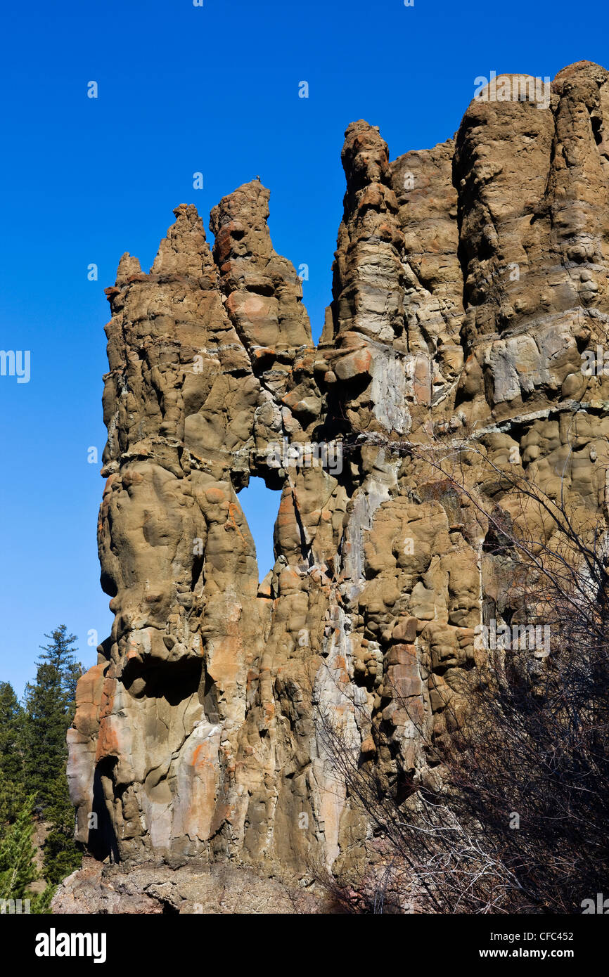 Lava rock and lichen in Painted Chasm Park British Columbia Canada ...