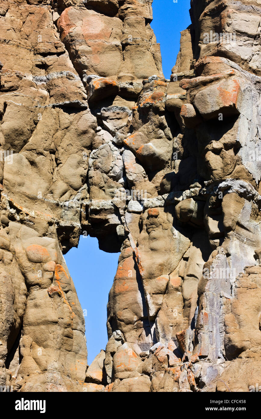 Lava rock and lichen in Painted Chasm Park British Columbia Canada ...