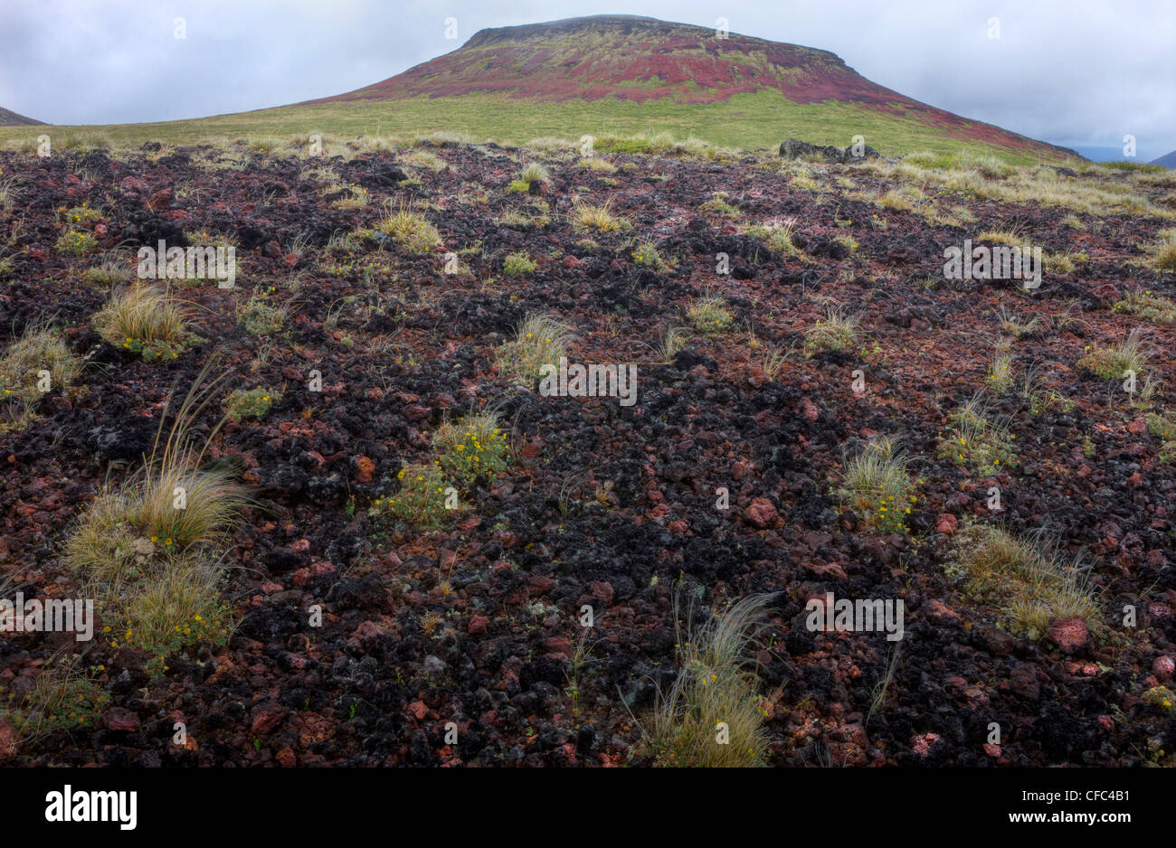 Volcanic landscape in the Itcha Mountains of British Columbia Canada ...