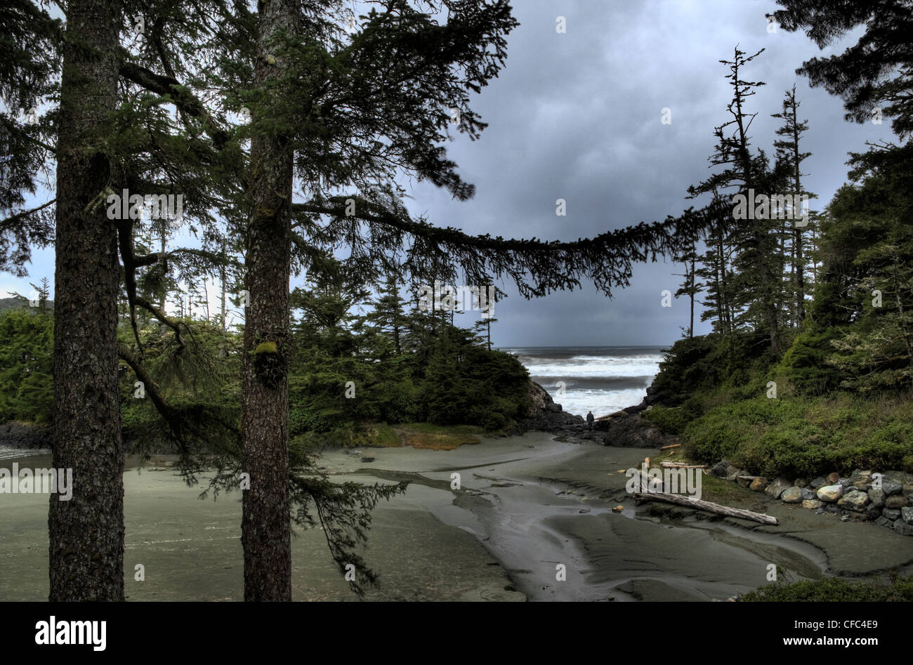 Tofino Cox Bay Beach High Resolution Stock Photography and Images - Alamy