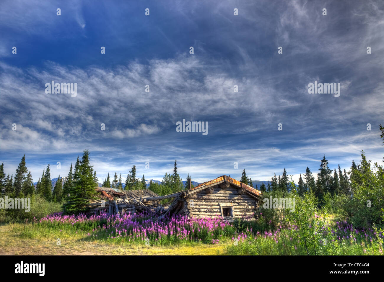 Old homesteaders cabin, Silver City, Yukon Territory, Canada Stock ...