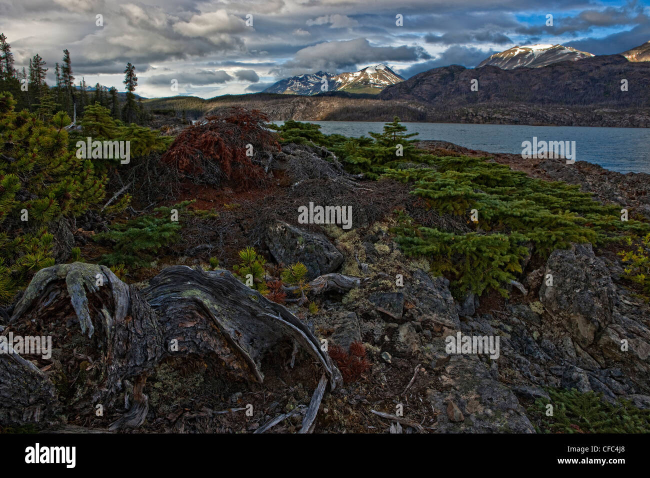 Sunrise over Atlin Lake, taken from Sloco Island in Atlin Provincial ...