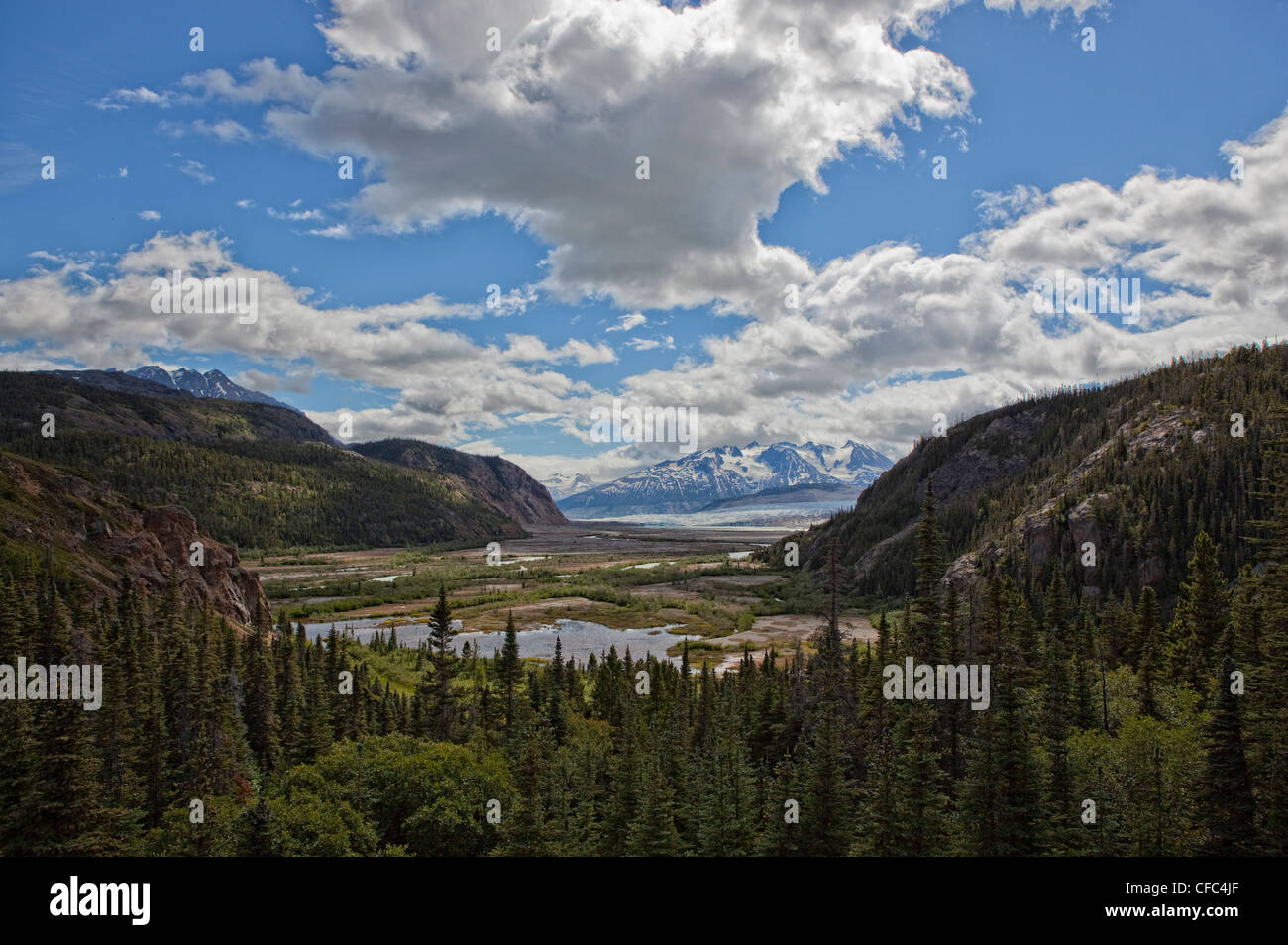 The Llewellyn Glacier is seen from a distance in Atlin Provincial Park ...