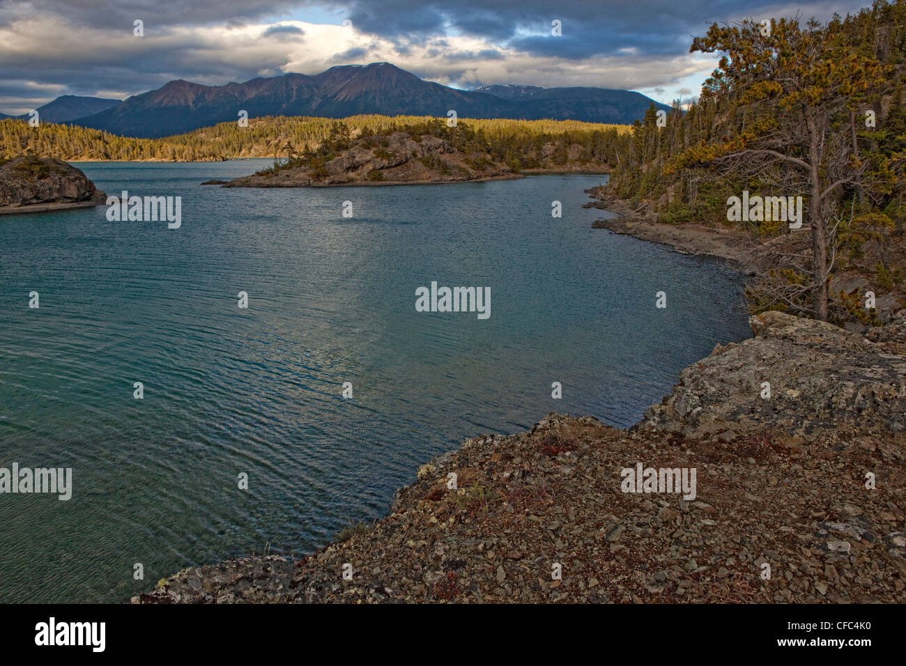 Sunset light hitting an island on Atlin Lake in Atlin Provincial Park ...