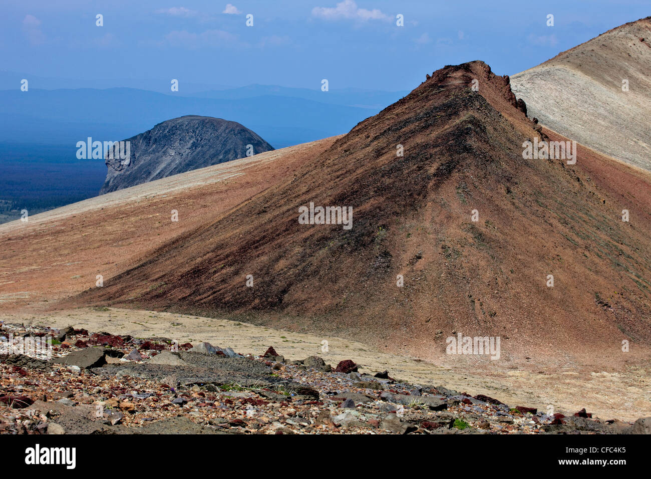 Itcha hi-res stock photography and images - Alamy