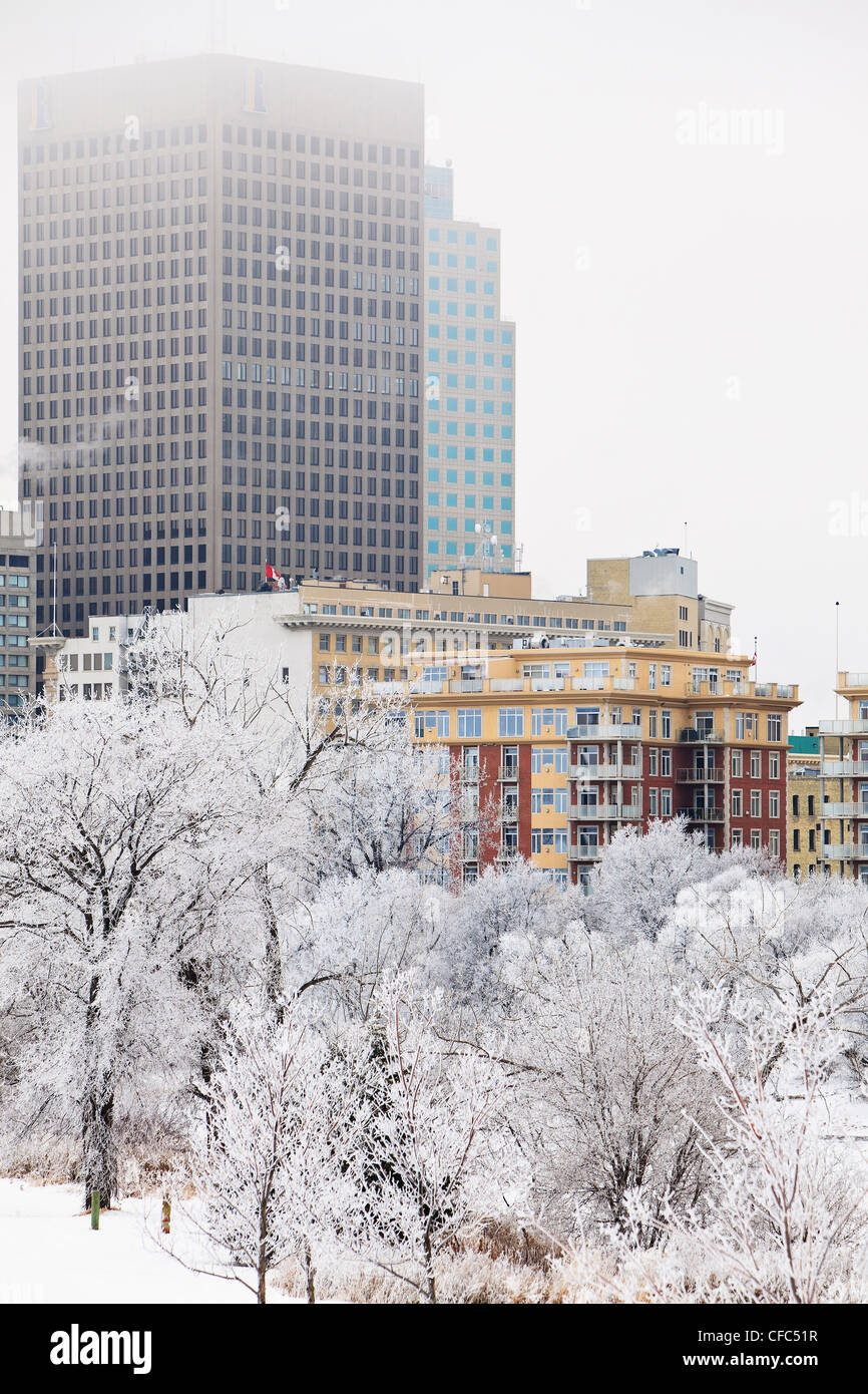 City buildings and trees covered in frost and snow on a cold winter day ...