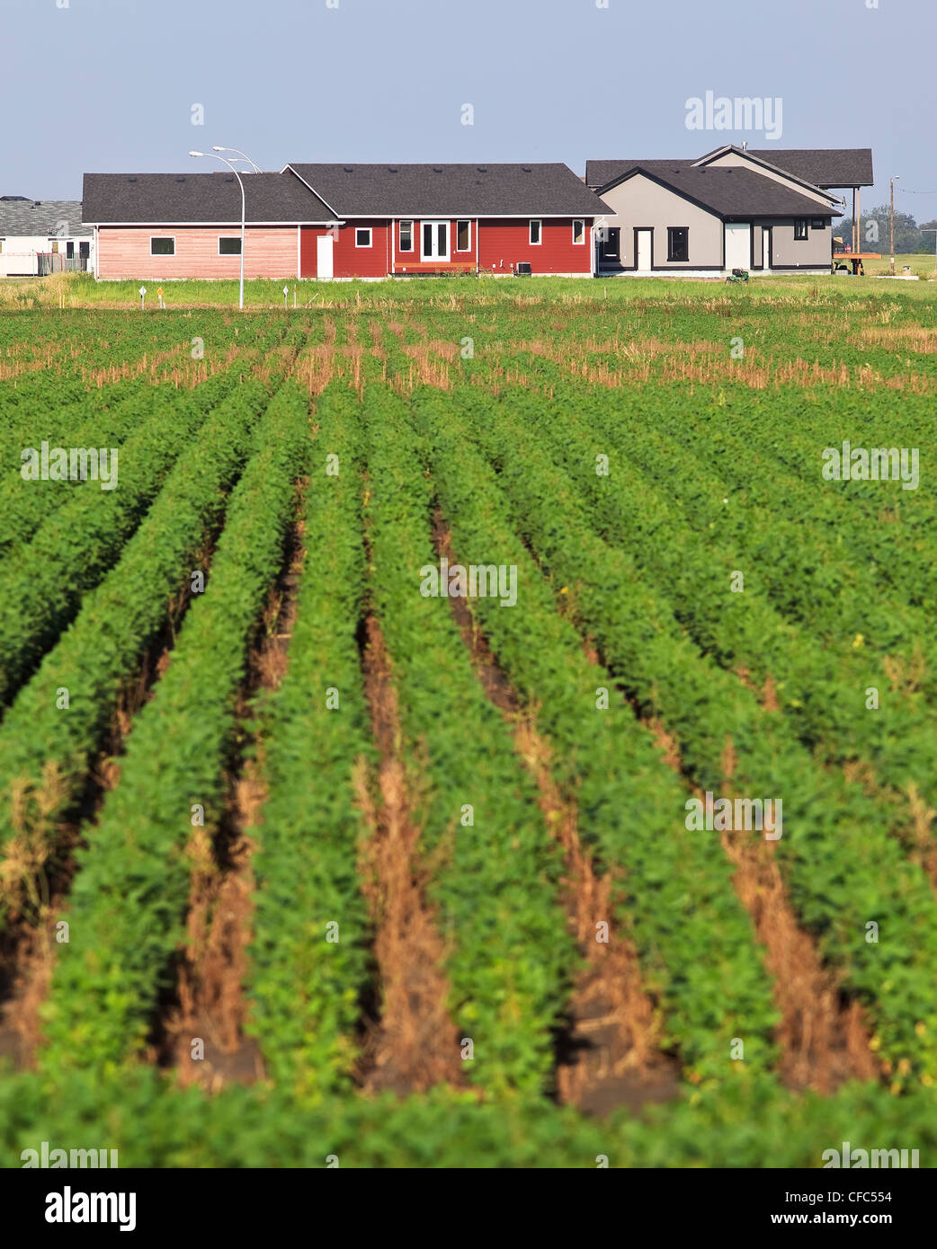 Urban sprawl farmland hi-res stock photography and images - Alamy
