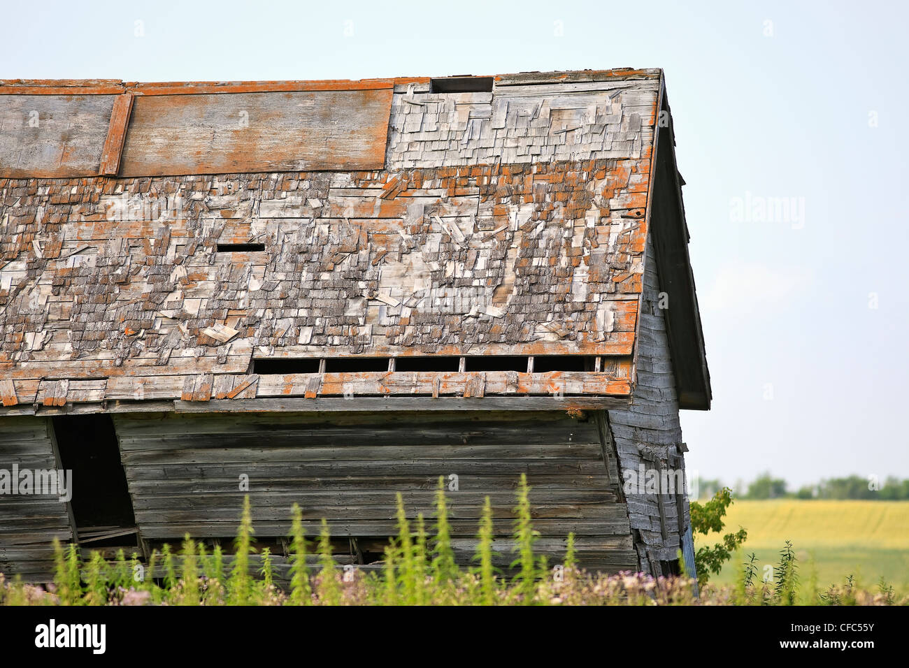 Old abandoned barn on the Canadian Prairie. Pembina Valley, Manitoba ...