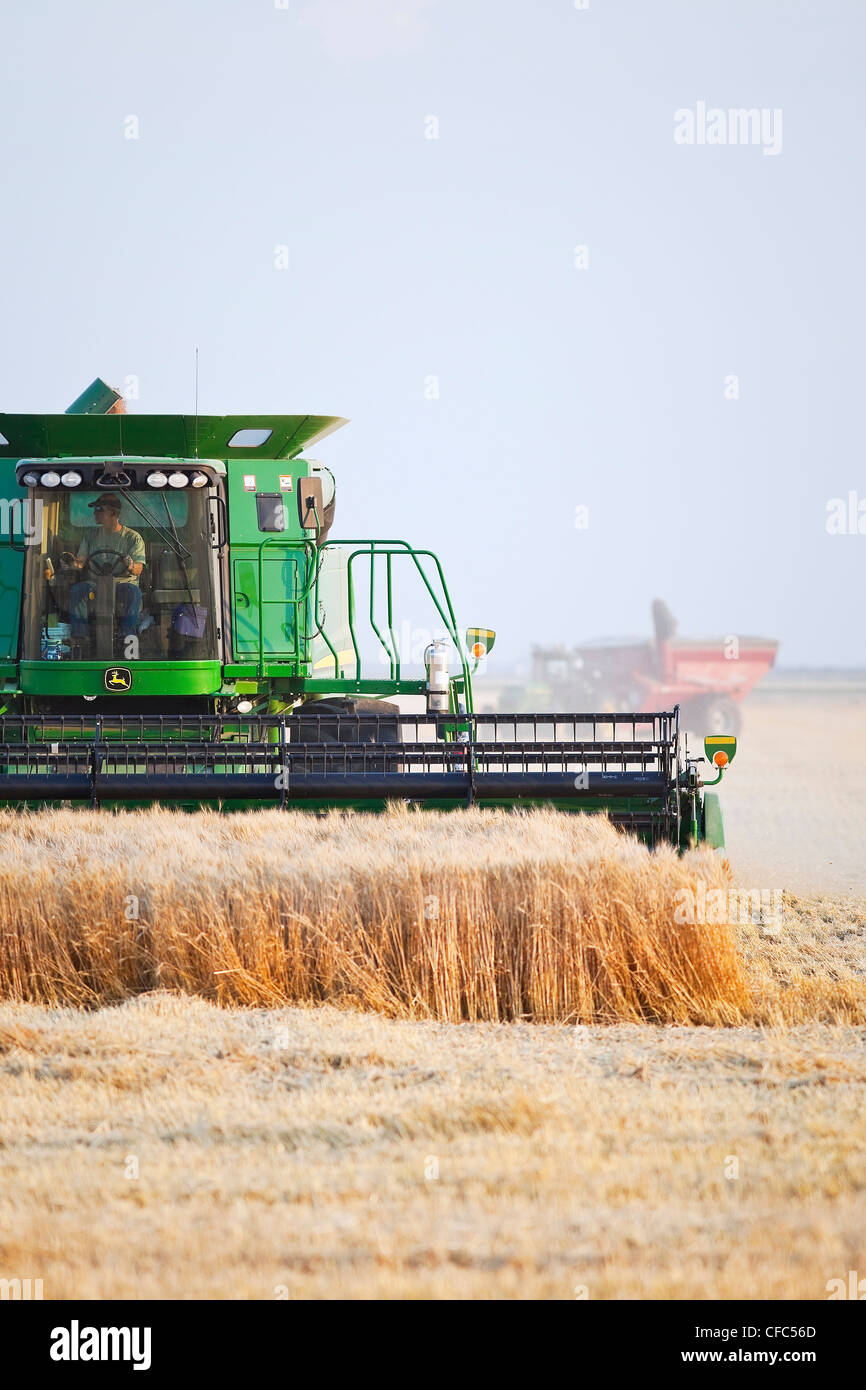 John Deere Combine Harvester Harvesting Wheat High Resolution Stock ...