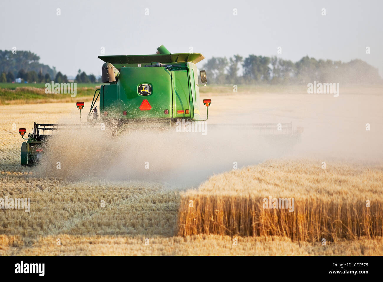 Combine harvesters working on wheat hi-res stock photography and images ...