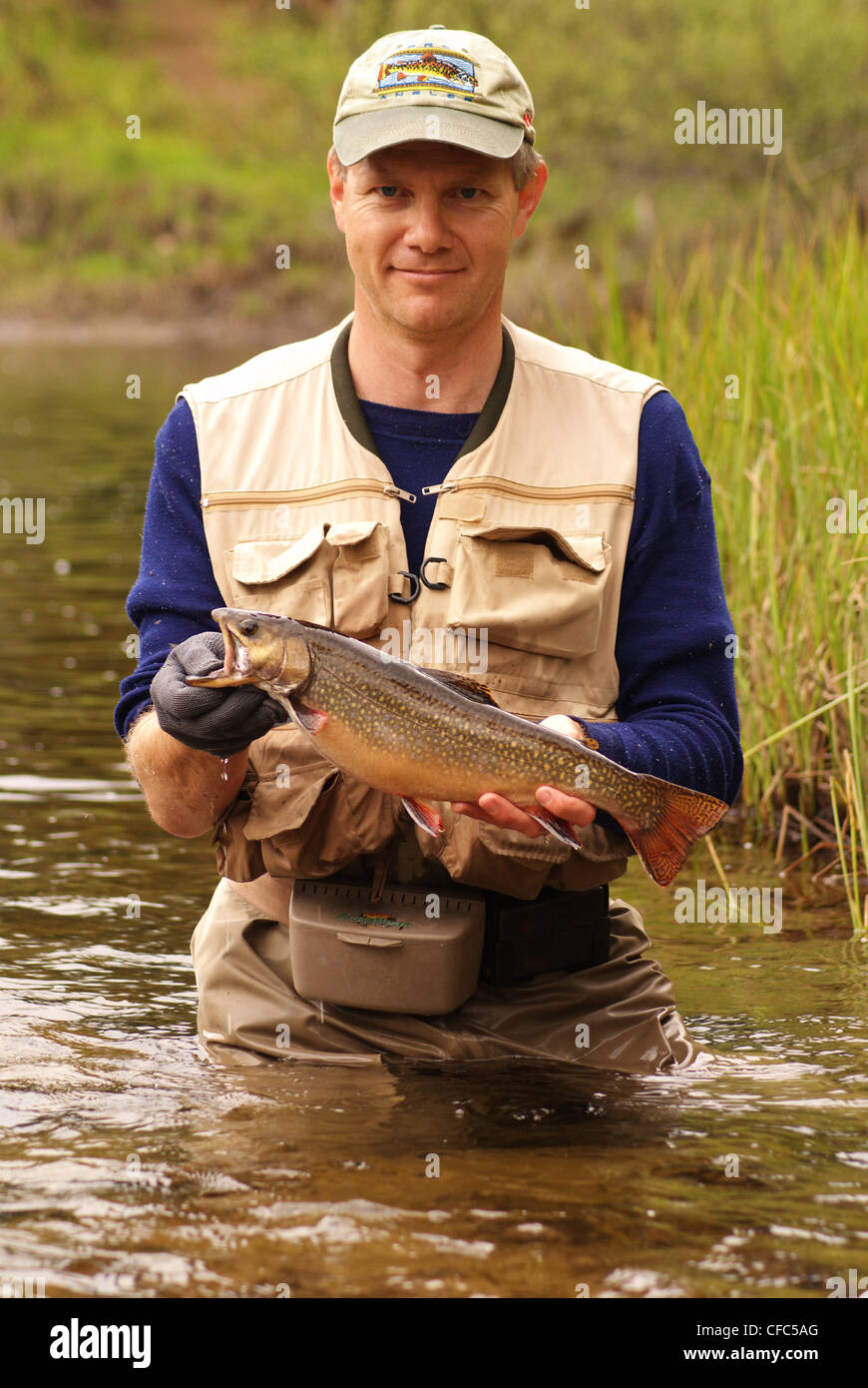 Fly fishing for spring brook trout in Algonquin park, Ontario, Canada ...