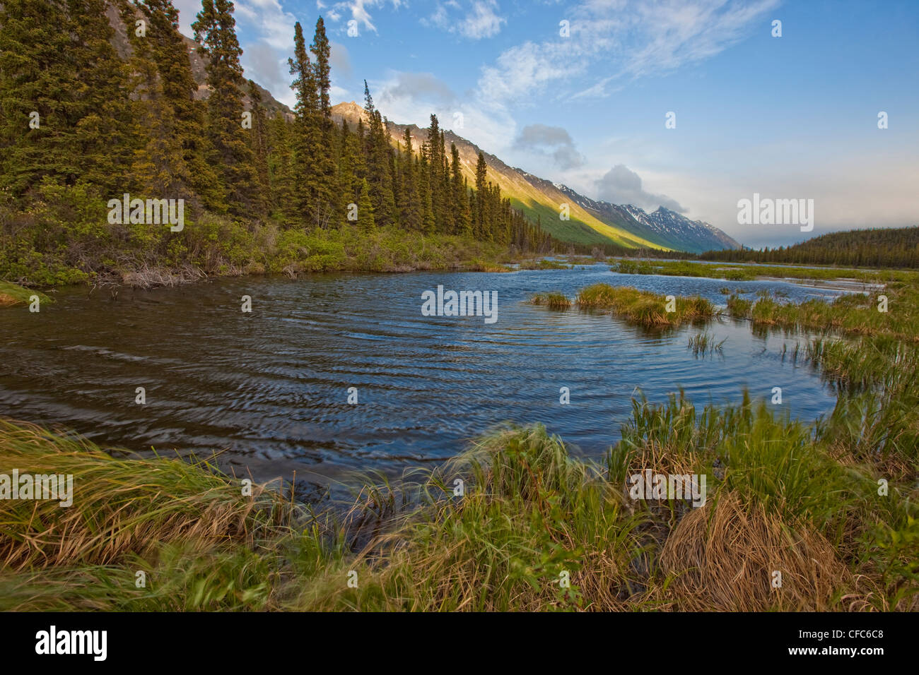 Annie Lake near Whitehorse, Yukon during a windy day in summer, Canada ...