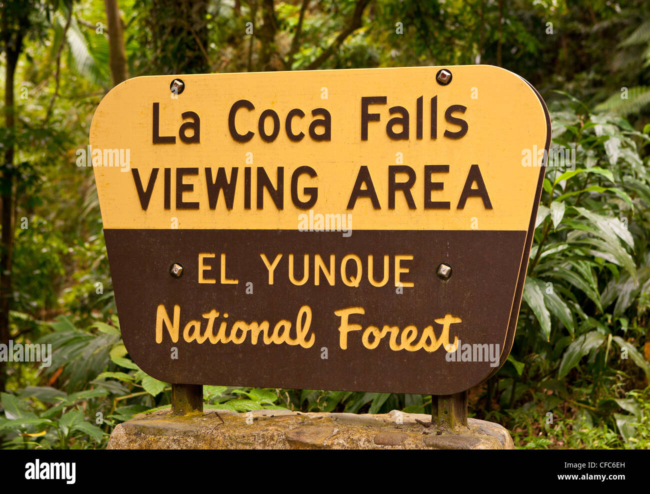 EL YUNQUE NATIONAL FOREST, PUERTO RICO - La Coca Falls viewing area ...