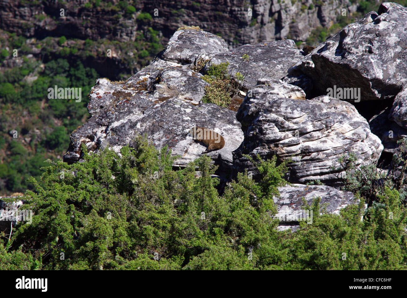 African climbing mountain hi-res stock photography and images - Alamy