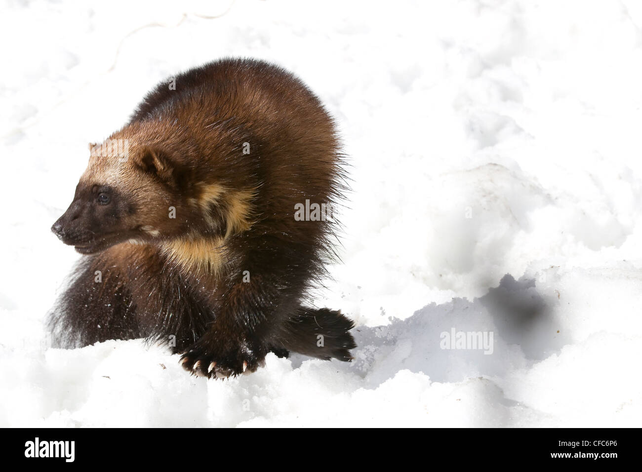 In highway Cut Out Stock Images & Pictures - Alamy