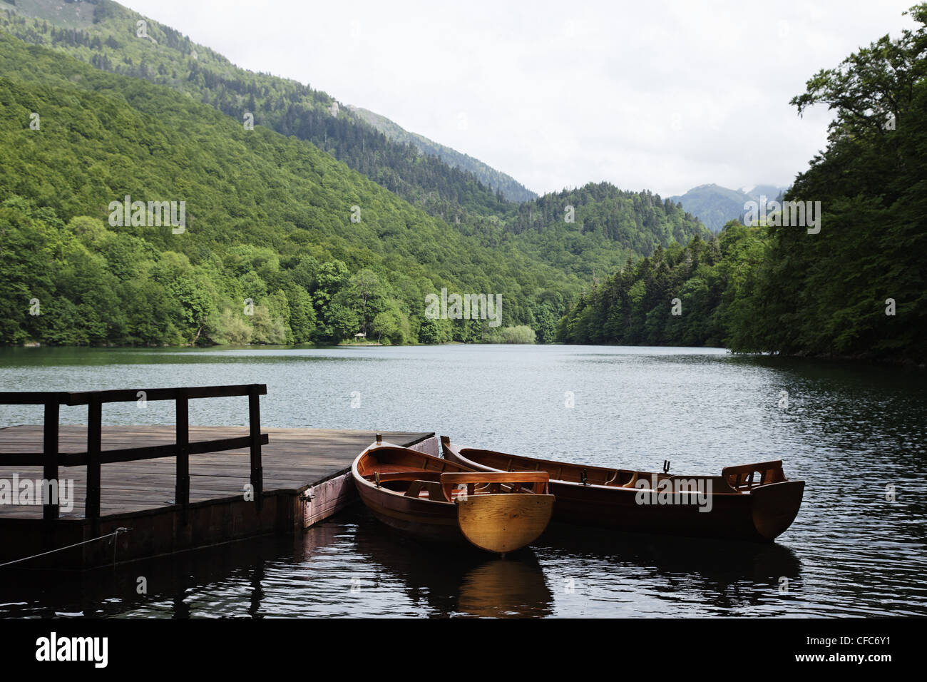 Biogradsko lake at biogradsko jezero national park hi-res stock ...